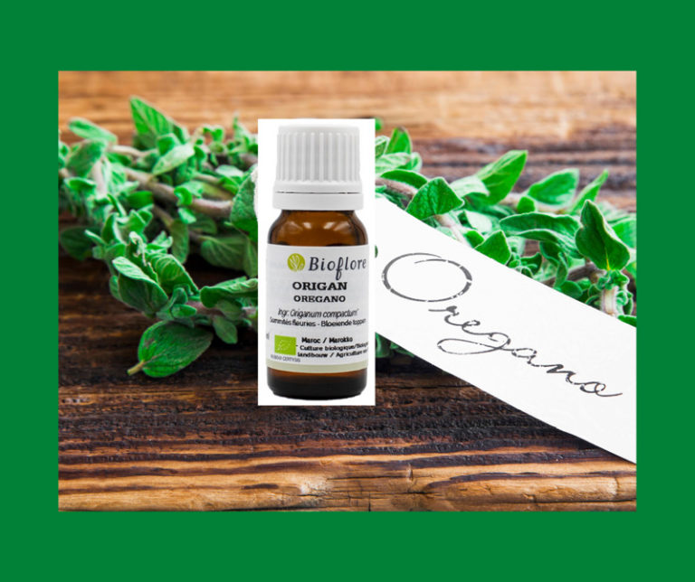 Origan Compact Bio | Les Racines de Ndaya — Huiles Essentielles